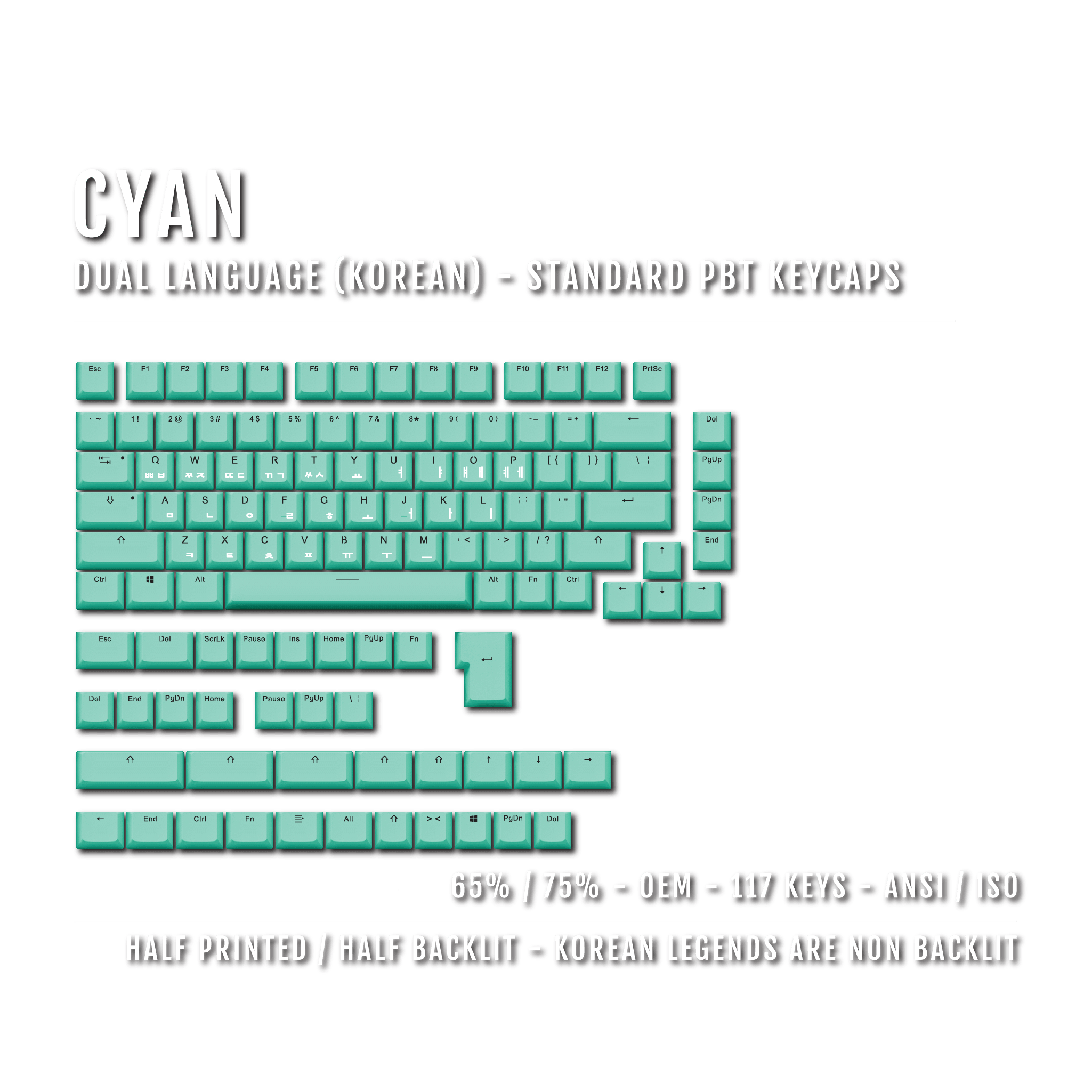 US Cyan PBT Korean (Hangul) Keycaps - 65/75% Sizes - Dual Language Key ...
