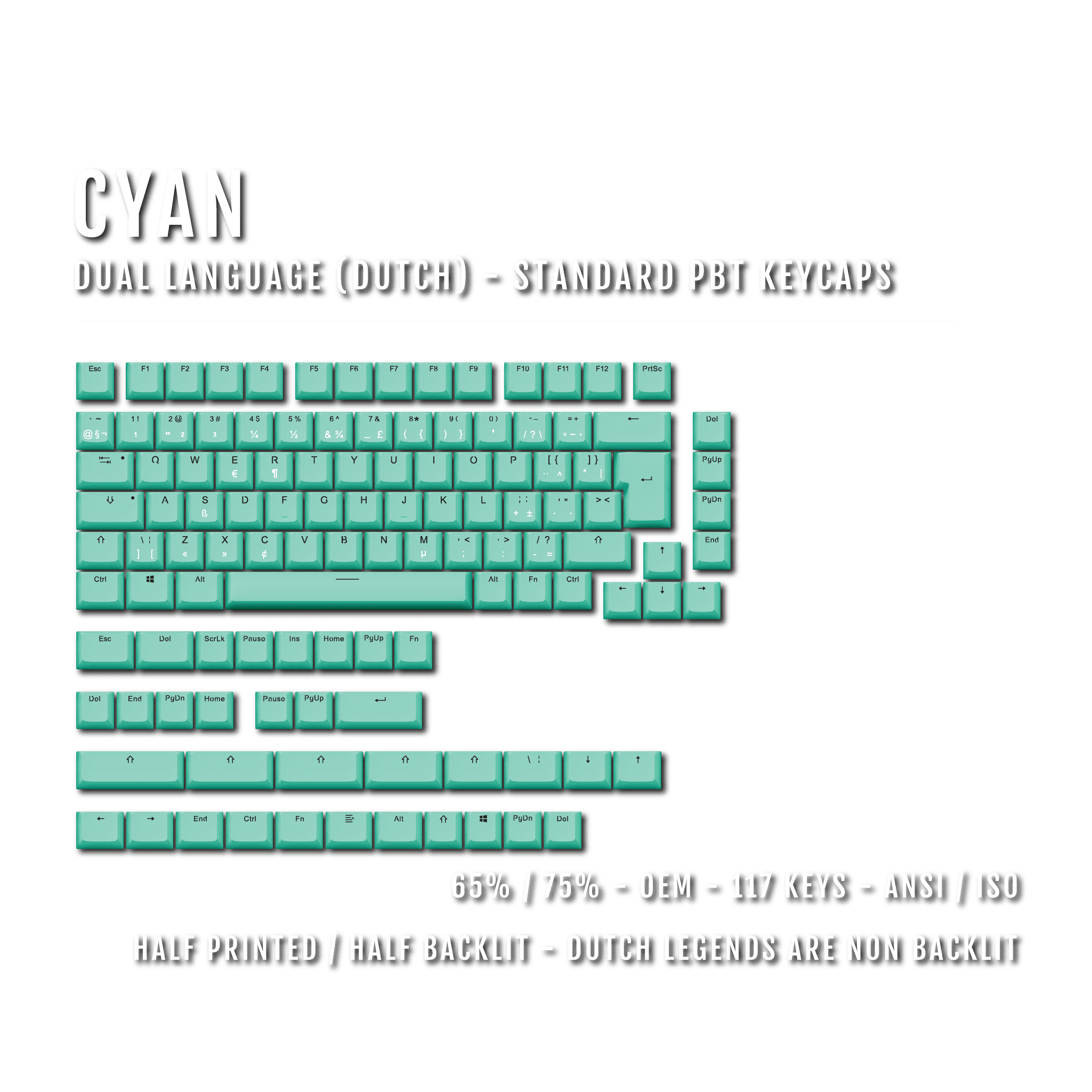 Cyan PBT Dutch Keycaps - ISO-NL - 65/75% Sizes - Dual Language Keycaps ...