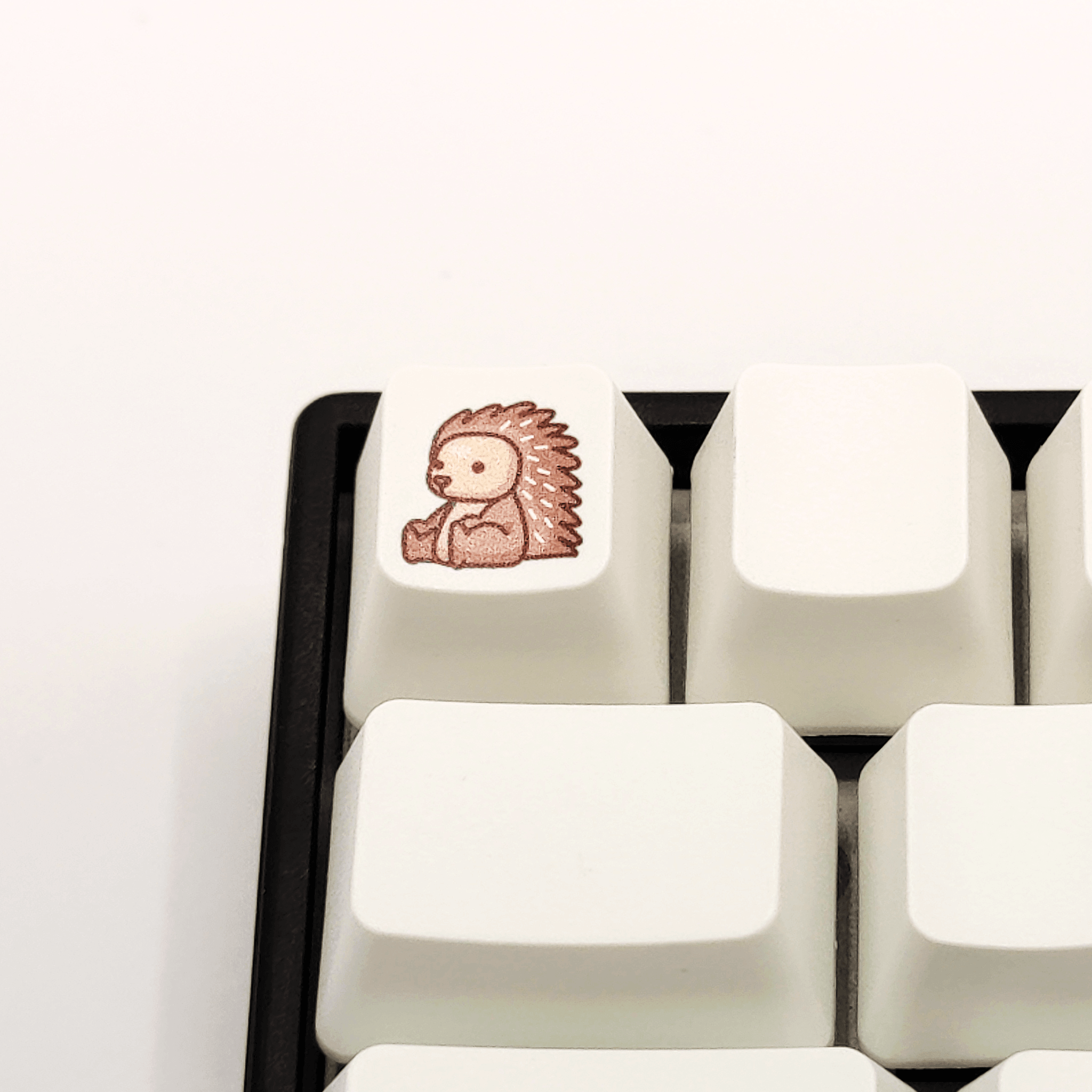 Cute Hedgehog Custom Keycap – Krome Keycaps LTD