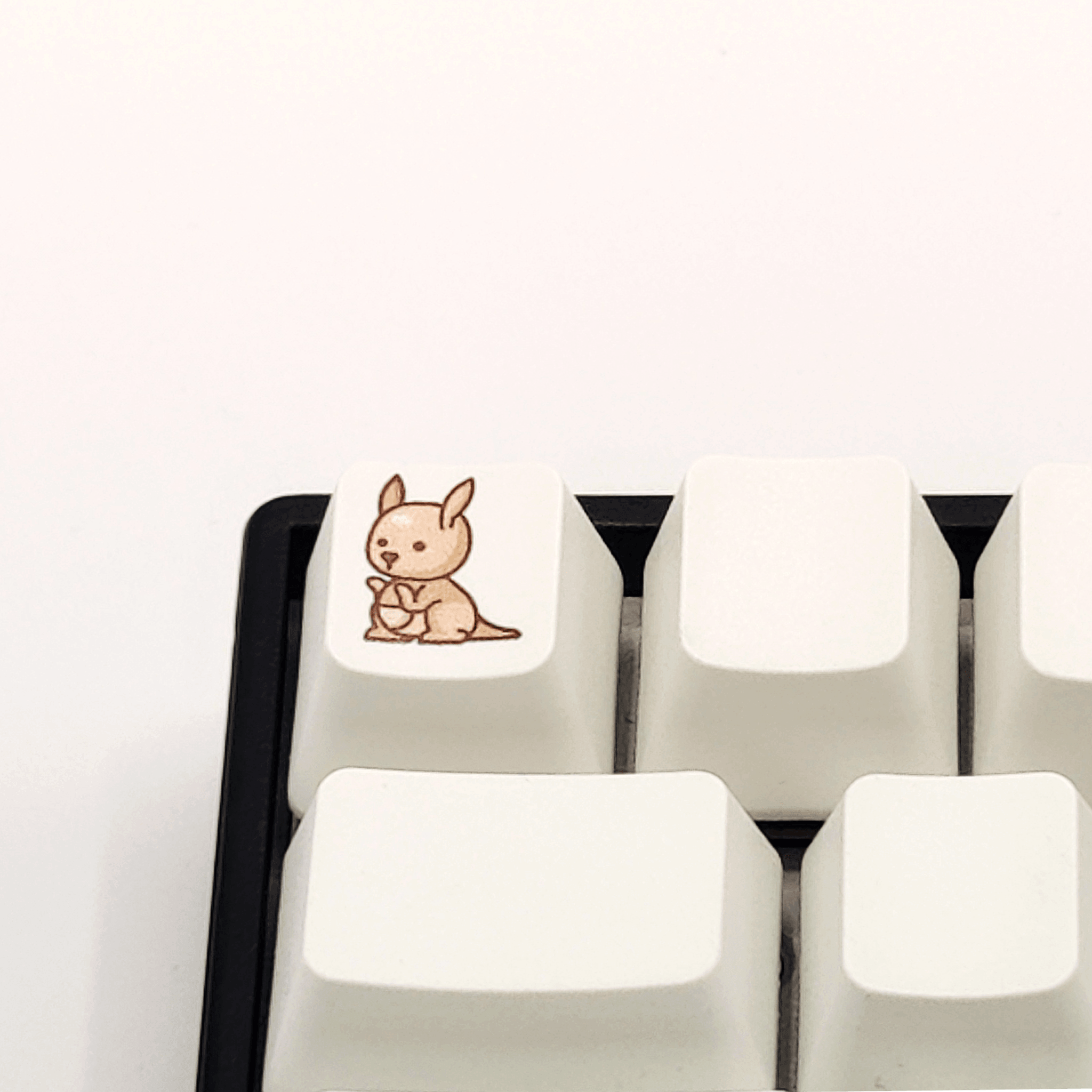 Cute Kangaroo Custom Keycap – Krome Keycaps LTD